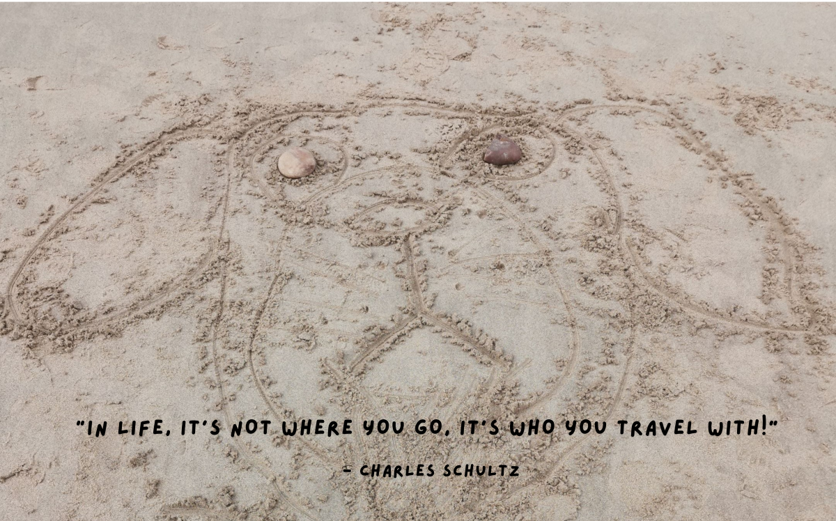 Welcome – SANDYPAWSHAVEN